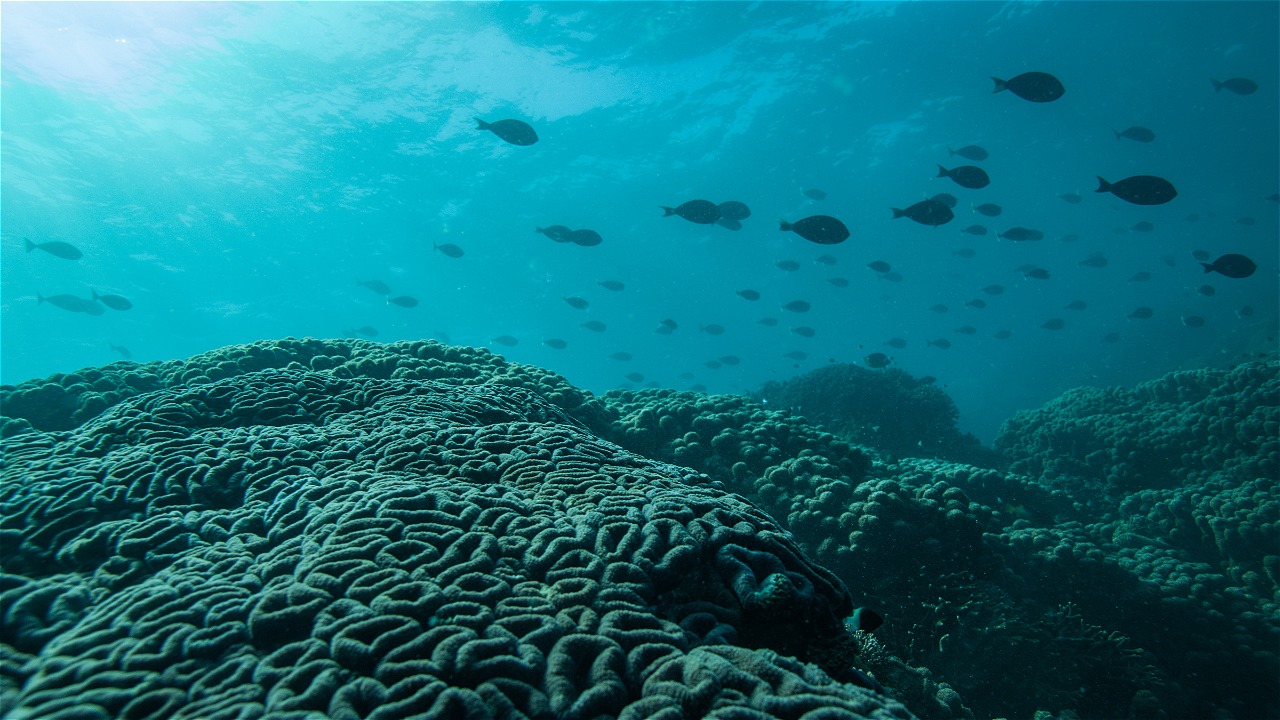 PREPARING FOR THE NEW MARINE PROTECTED AREA NETWORK